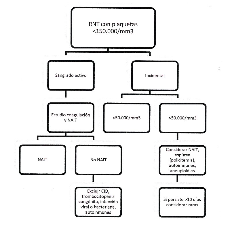 62.- Trombocitopenia neonatal 62.- Trombocitopenia neonatal
